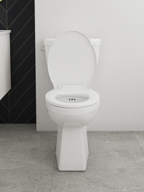 High-Performance Residential Toilets | ConTrac Plumbing